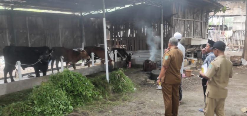 Produksi Susu dan Daging Sapi di Pasuruan Tetap Stabil Meski PMK Muncul ...